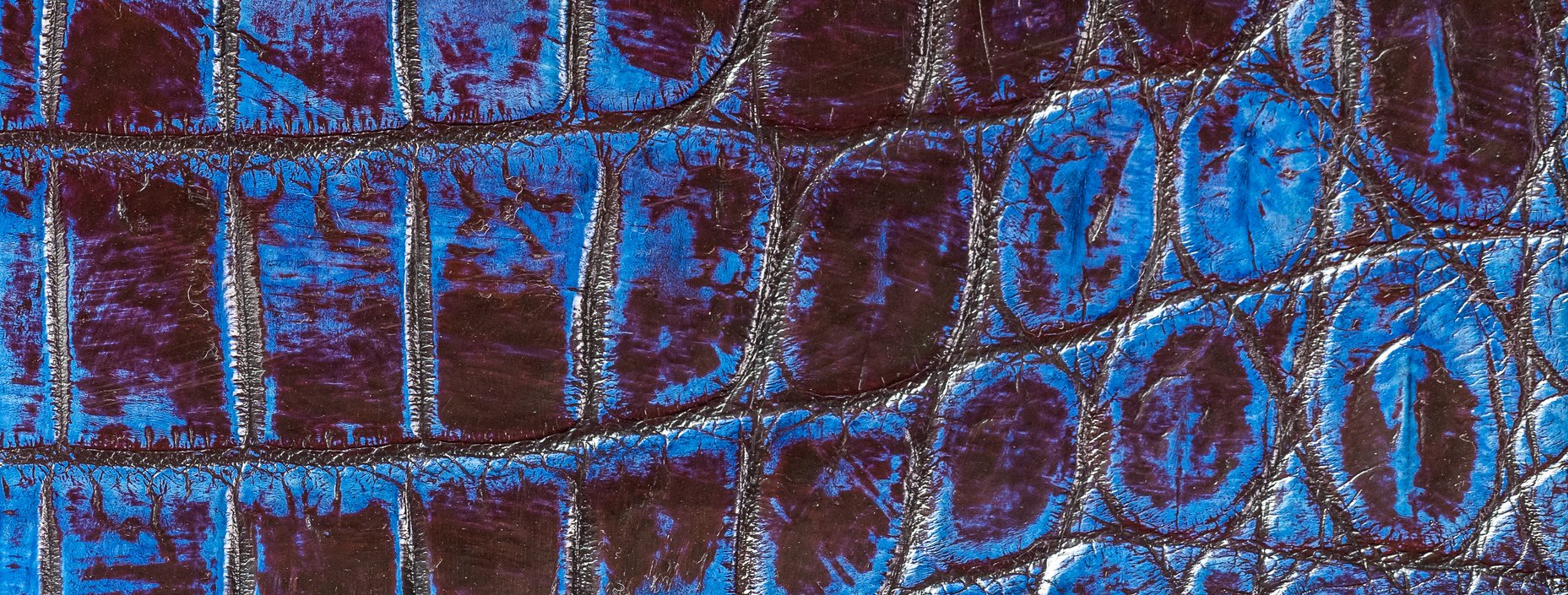 Our Top Exotic Leather colors
