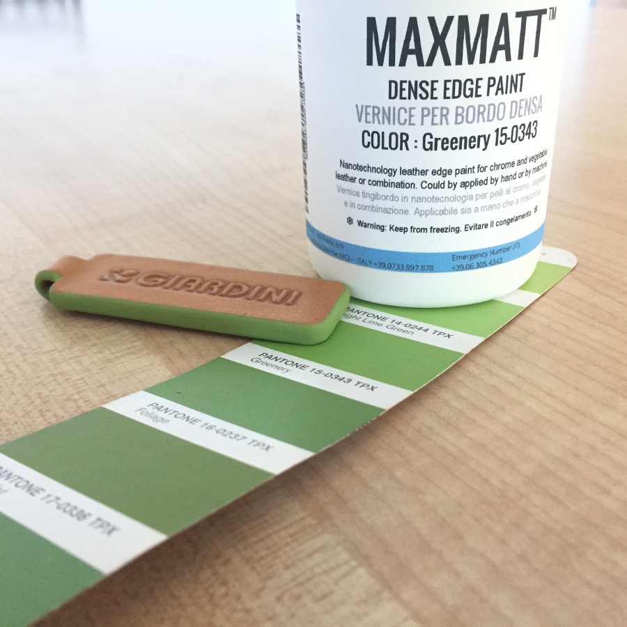 Color of the Year 2017: PANTONE Greenery