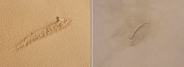 Get the best out of a Cheap Leather? Is possible...