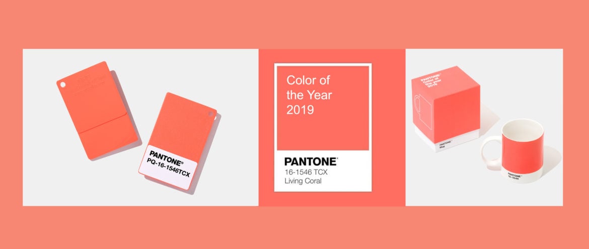Living Coral : PANTONE Color of the year 2019